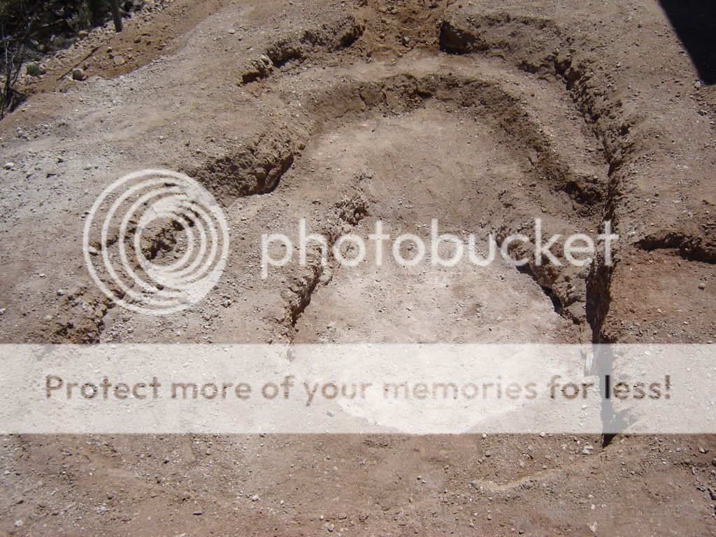 Big pond with long waterfall- very cool, very natural ...